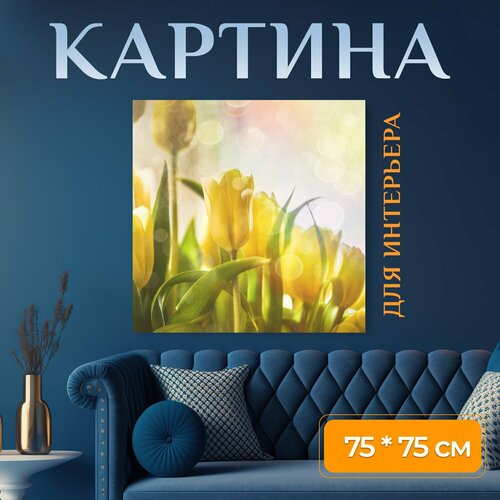 Картина на холсте "Цветок, тюльпан, желтый" на подрамнике 75х75 см. для интерьера