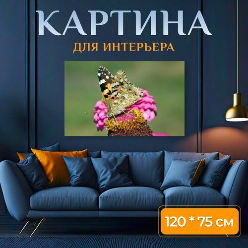 Картина на холсте "Бабочка, насекомое, цветок" на подрамнике 120х75 см. для интерьера