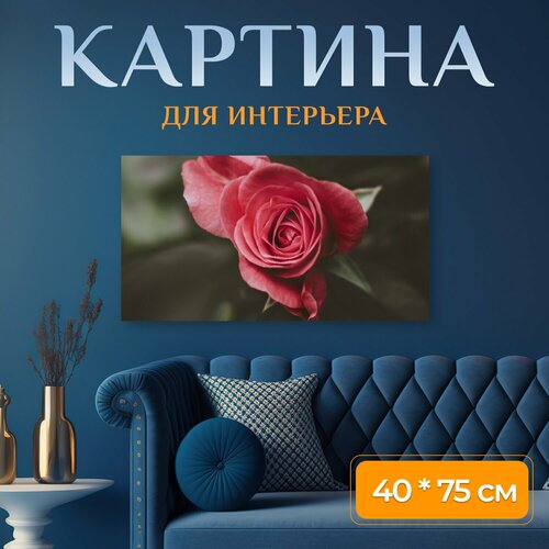 Картина на холсте "Роза, цветок, завод" на подрамнике 75х40 см. для интерьера