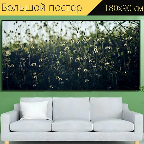 Большой постер "Полевые цветы, трава, куст" 180 x 90 см. для интерьера