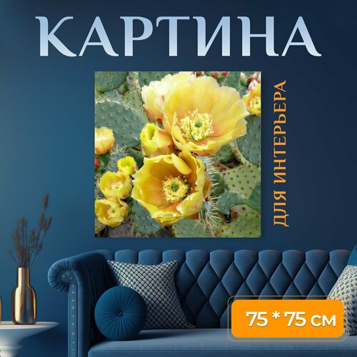 Картина на холсте "Кактус, цветок, терновый венец" на подрамнике 75х75 см. для интерьера