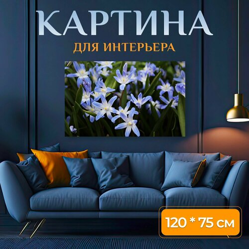 Картина на холсте "Звездчатые гиацинты, звездный цветок, весенние цветы" на подрамнике 120х75 см. для интерьера