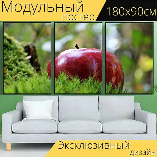 Модульный постер "Яблоко, красное яблоко, красный начальник" 180 x 90 см. для интерьера