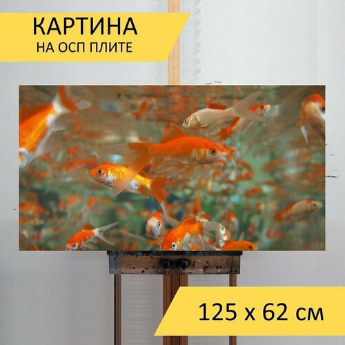 Картина на ОСП 125х62 см. "Золотая рыбка, аквариум, подводный" горизонтальная, для интерьера, с креплениями
