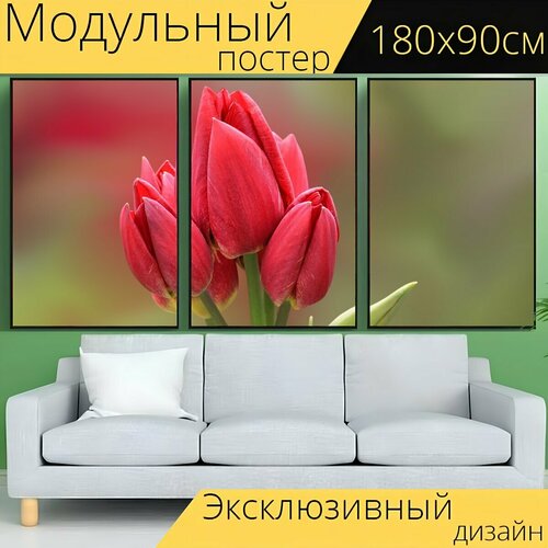 Модульный постер "Тюльпан, цветок, цвести" 180 x 90 см. для интерьера