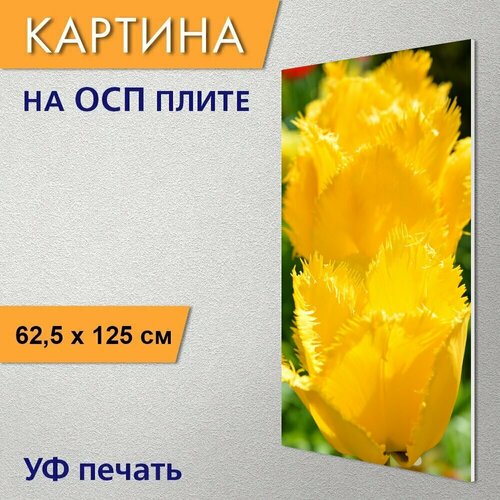 Вертикальная картина на ОСП "Тюльпаны, окаймленный, желтый" 62x125 см. для интерьериа