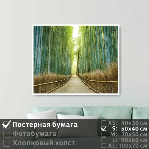 Постер на стену Бамбуковый Лес В Японии 50х40 см ПолиЦентр