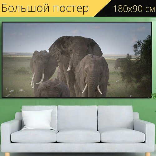 Большой постер "Стадо слонов, слоны, национальный парк" 180 x 90 см. для интерьера