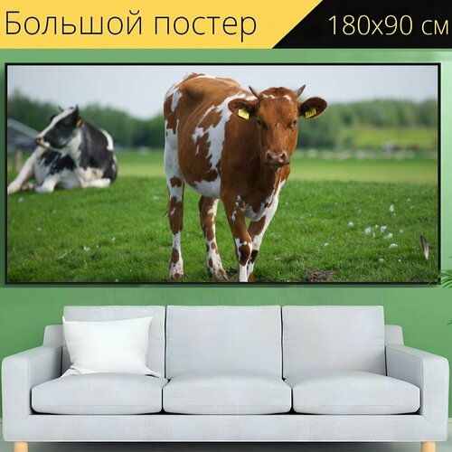 Большой постер "Корова, молоко, трава" 180 x 90 см. для интерьера