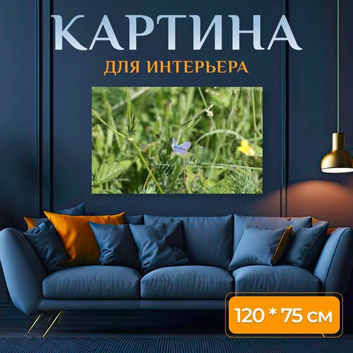 Картина на холсте "Трава, цветочный луг, природа" на подрамнике 120х75 см. для интерьера