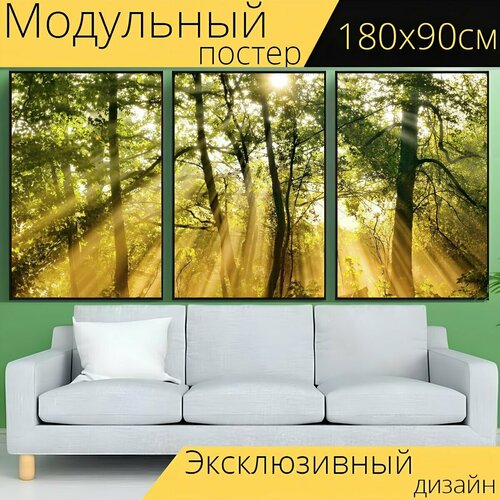 Модульный постер "Солнечные лучи, солнце, лес" 180 x 90 см. для интерьера