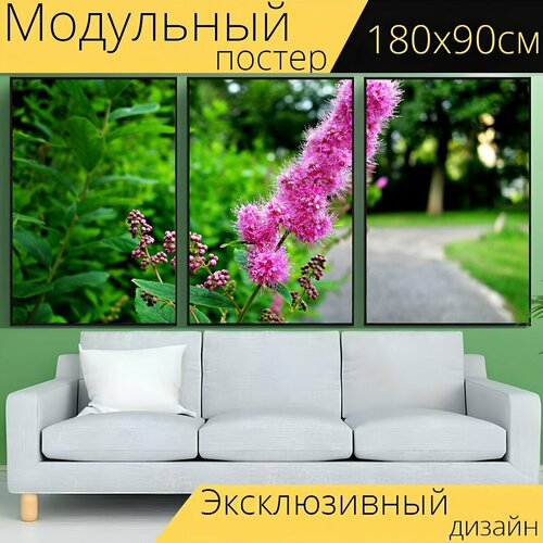 Модульный постер "Цветок, розовый цветок, кустарник" 180 x 90 см. для интерьера