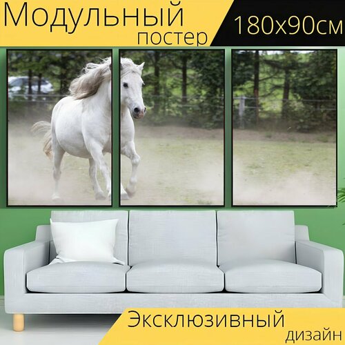 Модульный постер "Пони, лошадь, галопом" 180 x 90 см. для интерьера