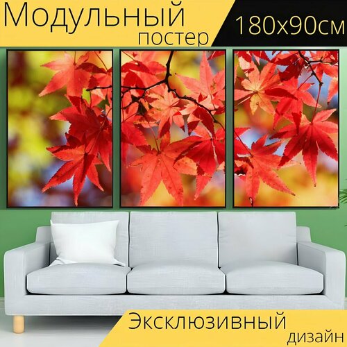 Модульный постер "Кленовые листья, осень, листья" 180 x 90 см. для интерьера