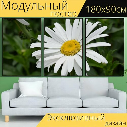 Модульный постер "Цветок, цветок ромашка, лепестки белый" 180 x 90 см. для интерьера
