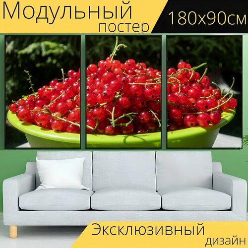 Модульный постер "Красная смородина, ягоды, фрукты" 180 x 90 см. для интерьера