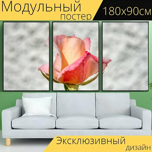 Модульный постер "Роза, процветать, цветок" 180 x 90 см. для интерьера