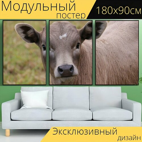 Модульный постер "Телец, корова, крупный рогатый скот" 180 x 90 см. для интерьера