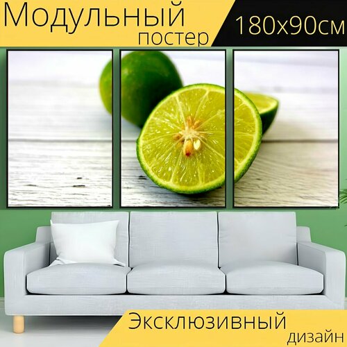 Модульный постер "Апельсин, цитрусовые, фрукты" 180 x 90 см. для интерьера
