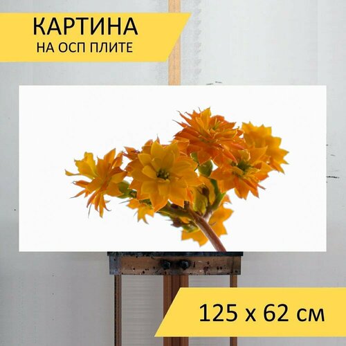 Картина на ОСП 125х62 см. "Цветок, апельсин, белый" горизонтальная, для интерьера, с креплениями