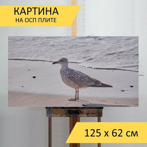 Картина на ОСП 125х62 см. "Море, чайка, пляж" горизонтальная, для интерьера, с креплениями
