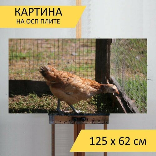 Картина на ОСП 125х62 см. "Курица, цыпленок, ферма" горизонтальная, для интерьера, с креплениями
