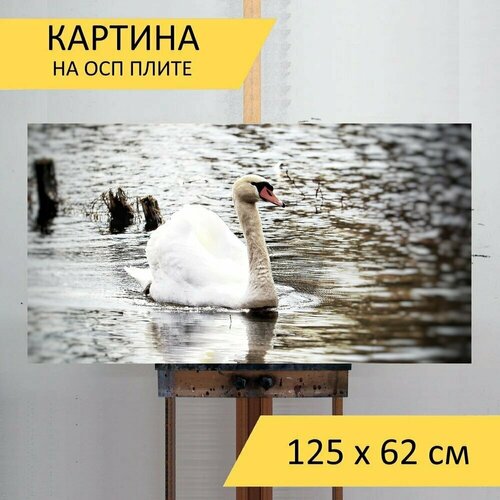 Картина на ОСП 125х62 см. "Лебедь, птица, озеро" горизонтальная, для интерьера, с креплениями