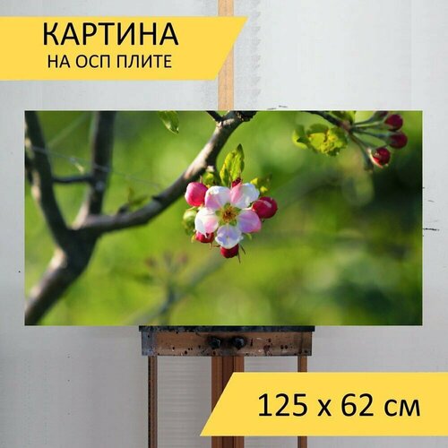Картина на ОСП 125х62 см. "Цветок, природа, весна" горизонтальная, для интерьера, с креплениями