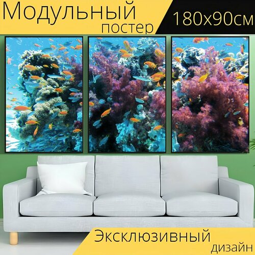 Модульный постер "Подводный, море, рыбы" 180 x 90 см. для интерьера