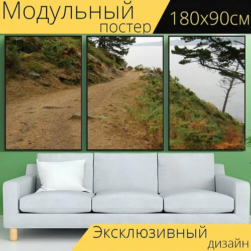 Модульный постер "Путь, земля, лес" 180 x 90 см. для интерьера