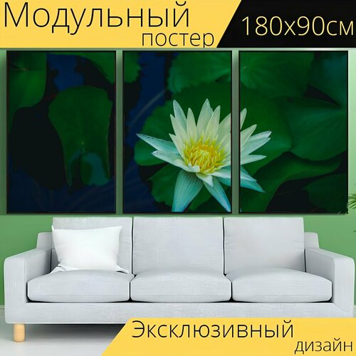 Модульный постер "Водяная лилия, цветок, завод" 180 x 90 см. для интерьера