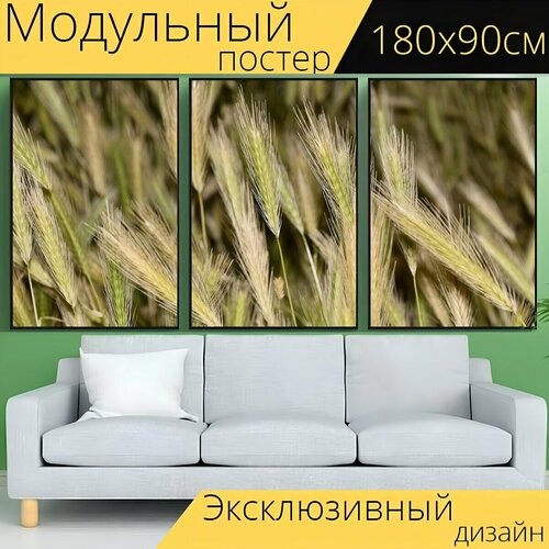 Модульный постер "Пшеница, злаки, сельское хозяйство" 180 x 90 см. для интерьера