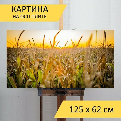 Картина на ОСП 125х62 см. "Кукуруза, поле, заход солнца" горизонтальная, для интерьера, с креплениями