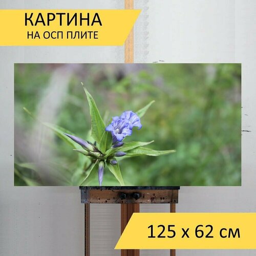 Картина на ОСП 125х62 см. "Цветок, боке, зеленый" горизонтальная, для интерьера, с креплениями