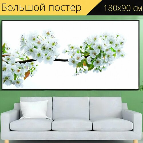 Большой постер "Цветок груши, фруктовый сад, весна" 180 x 90 см. для интерьера