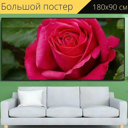 Большой постер "Роза, цветок, любовь" 180 x 90 см. для интерьера