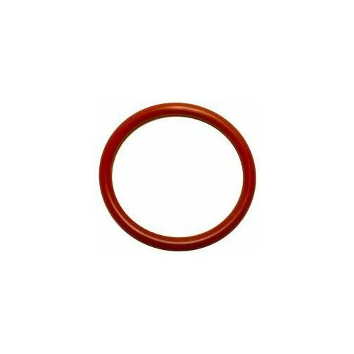 Уплотнительное кольцо заварочного устройства кофемашин Saeco (цвет колец может быть черным!)