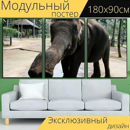 Модульный постер "Слон, ствол, бали" 180 x 90 см. для интерьера