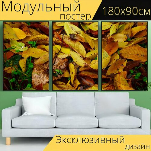 Модульный постер "Листья, на земле, осень" 180 x 90 см. для интерьера