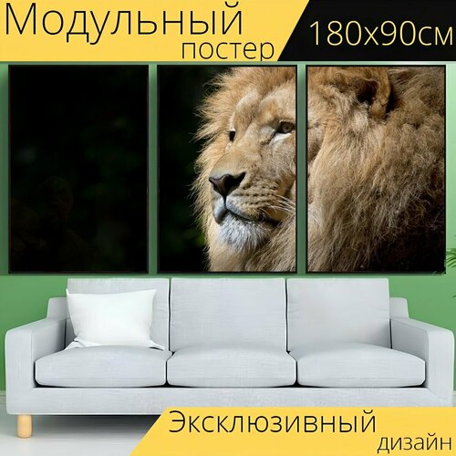 Модульный постер "Лев, животное, голова" 180 x 90 см. для интерьера