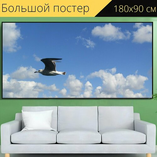 Большой постер "Птица, небо, летающий" 180 x 90 см. для интерьера
