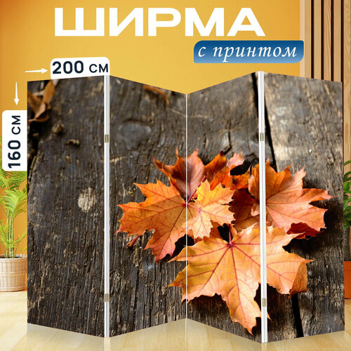 Ширма перегородка с принтом "Листья, клен, осень" на холсте - 200x160 см. для зонирования, раскладная