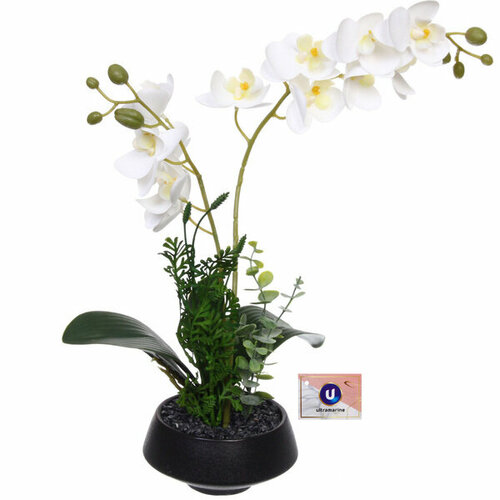 Цветочная композиция «Орхидея» 20*38см белая в керамическом горшке HL-15