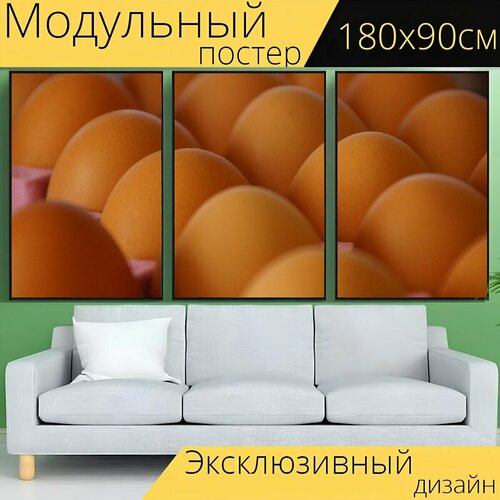 Модульный постер "Яйца, браун, поднос" 180 x 90 см. для интерьера