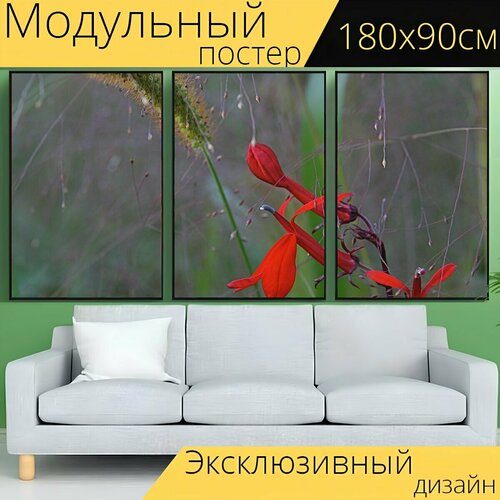 Модульный постер "Травы, луг, остроконечный цветок" 180 x 90 см. для интерьера