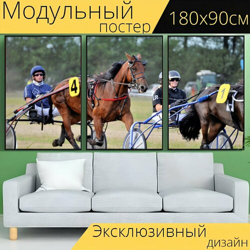 Модульный постер "Ремни для гонок, угрюмый, конный спорт" 180 x 90 см. для интерьера
