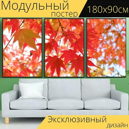 Модульный постер "Падение, листья, осень" 180 x 90 см. для интерьера