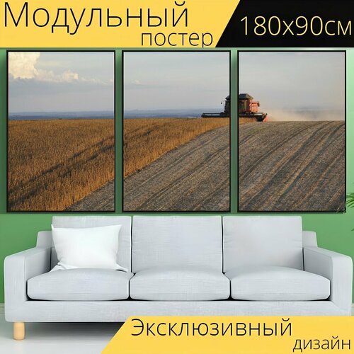 Модульный постер "Уборка урожая, соя, плантация" 180 x 90 см. для интерьера