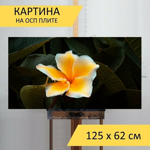 Картина на ОСП 125х62 см. "Плюмерия, цветок, таиланд" горизонтальная, для интерьера, с креплениями