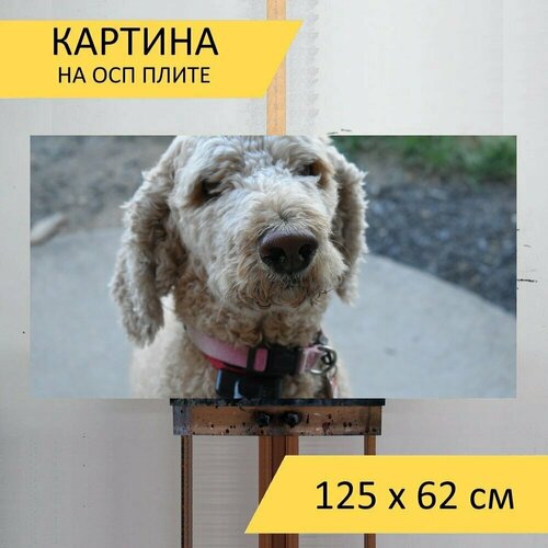Картина на ОСП 125х62 см. "Собака, животное, природа" горизонтальная, для интерьера, с креплениями